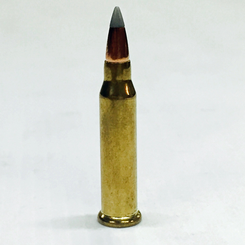 17 WSM - Fisher Firearms